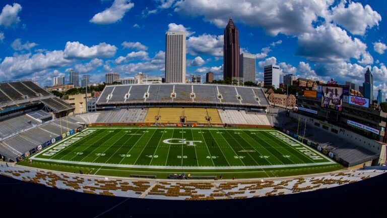 Atlanta Sports Turf Company - Precision Turf, LLC